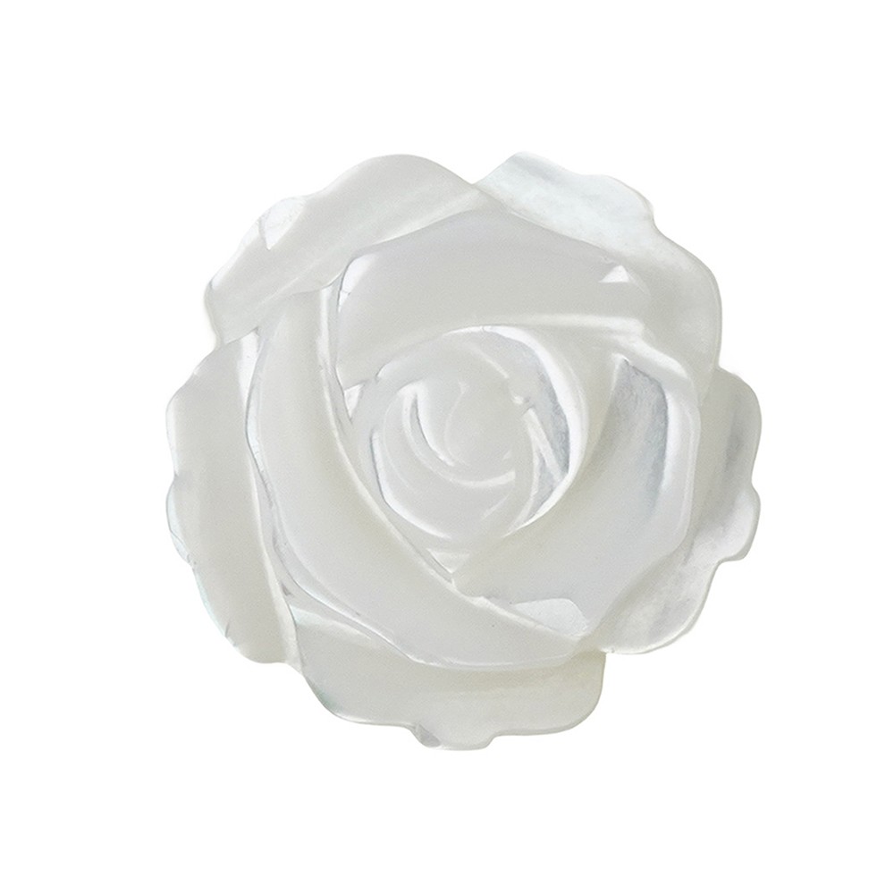 Rose Mother of Pearl (light), 10mm (6 pcs./ PU), half drilled | Marco ...